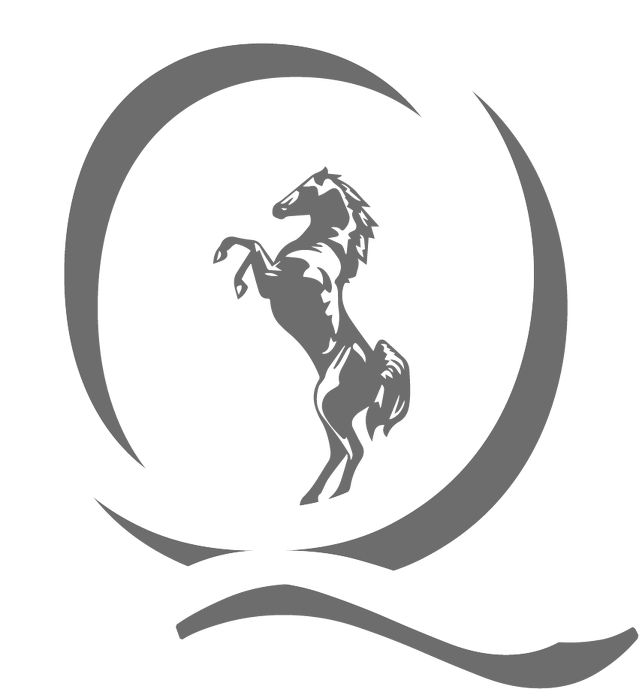 Quantum Asset Finance | Finance Made Easy NZ